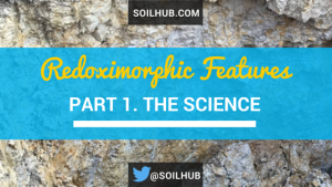 Redoximorphic Features – Part 1. The Science - SoilHub.com