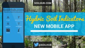 Version 9.0 of the Field Indicators of Hydric Soils - SoilHub.com