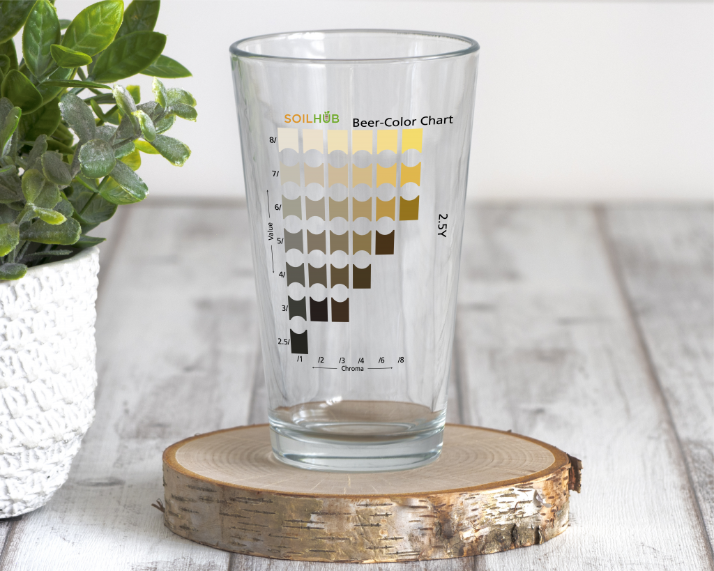 Beer Color Chart Pint Glass – 4-Pack - SoilHub.com