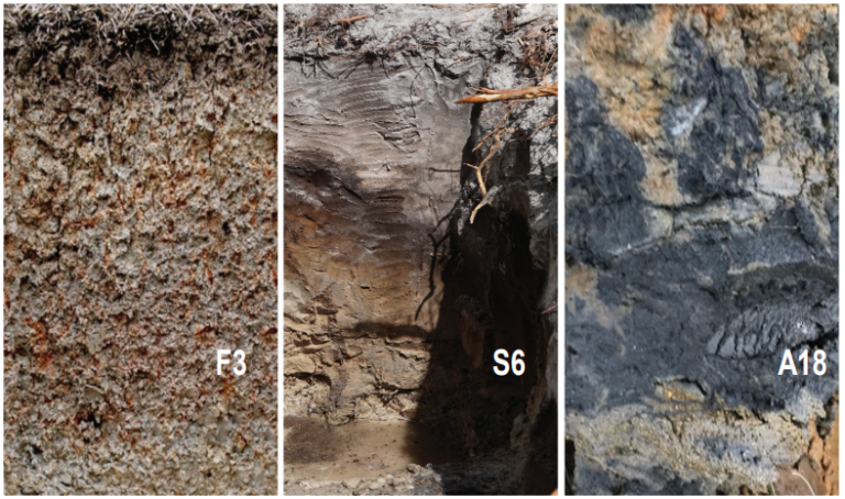 Version 9.0 of the Field Indicators of Hydric Soils - SoilHub.com