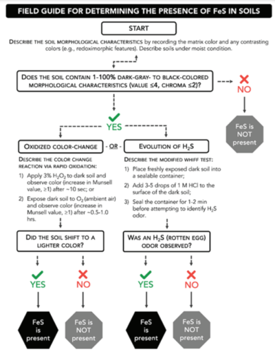 Version 9.0 of the Field Indicators of Hydric Soils - SoilHub.com
