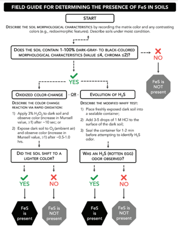 Version 9.0 of the Field Indicators of Hydric Soils - SoilHub.com