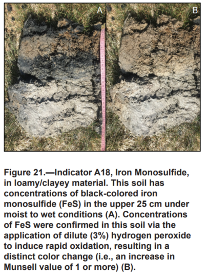 Version 9.0 of the Field Indicators of Hydric Soils - SoilHub.com
